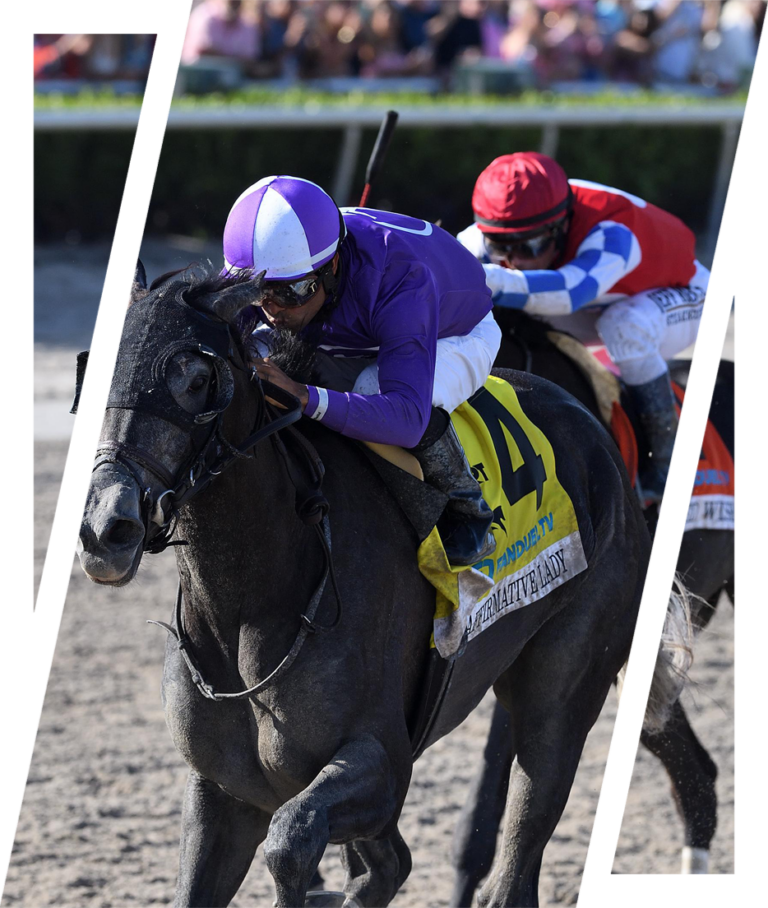 Where Tradition Meets Innovation on the Racetrack - Mo Speed Racing