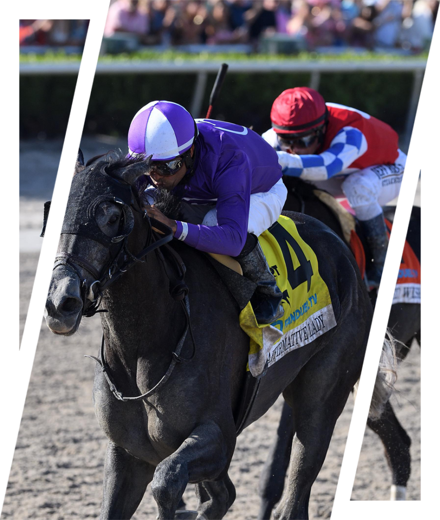 Where Tradition Meets Innovation on the Racetrack - Mo Speed Racing