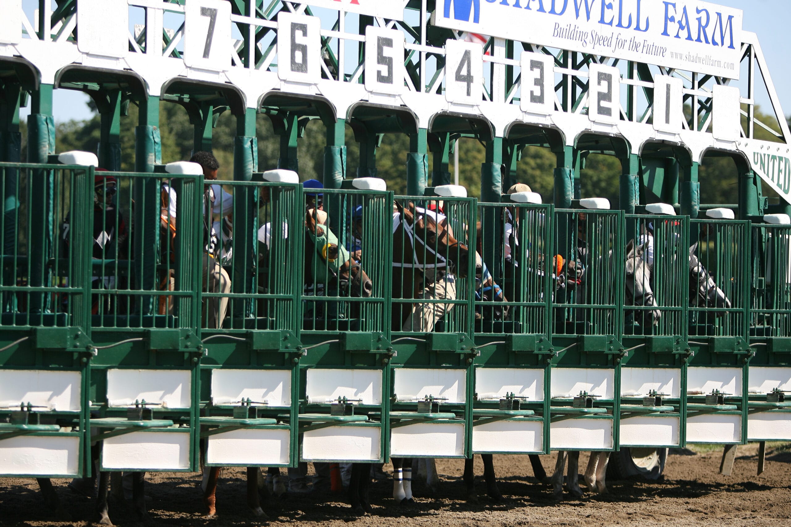 Races and Stats - Mo Speed Racing